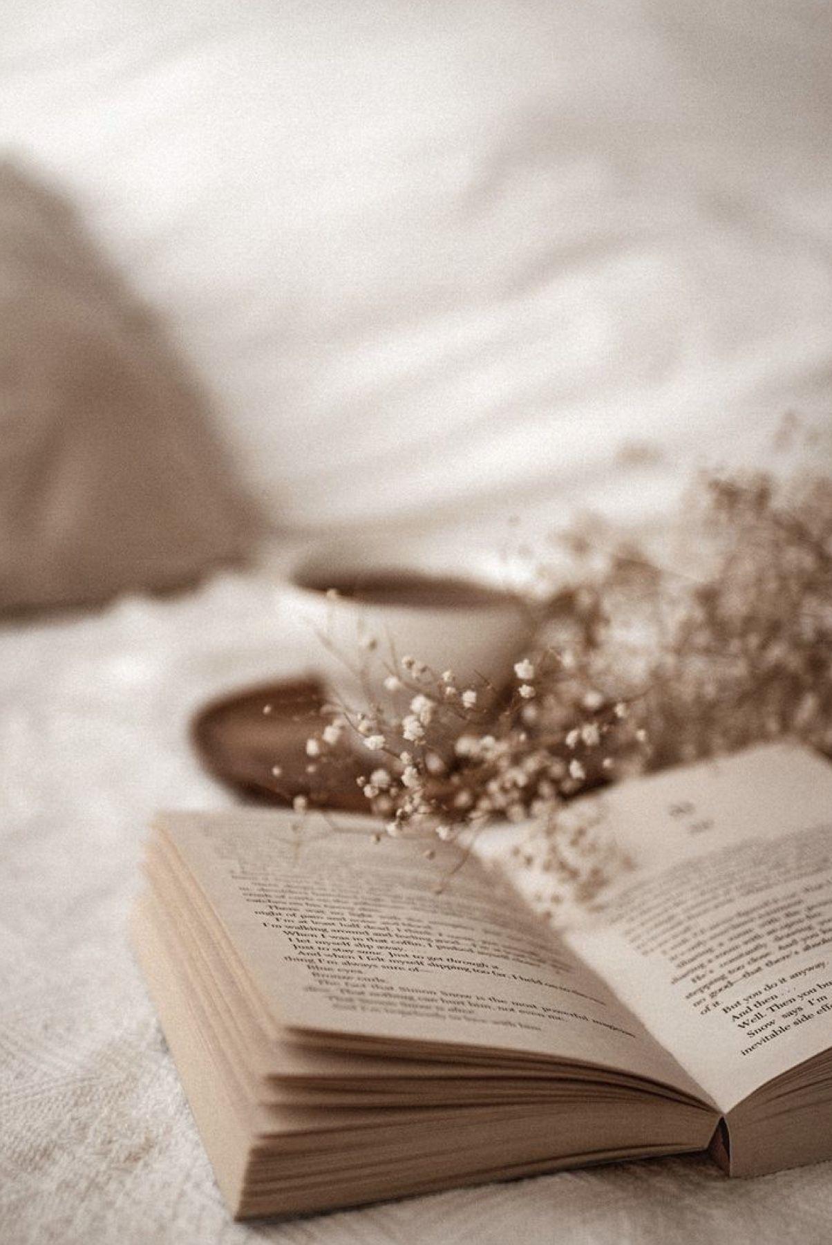 Cozy Books Wallpapers - Top Free Cozy Books Backgrounds - WallpaperAccess