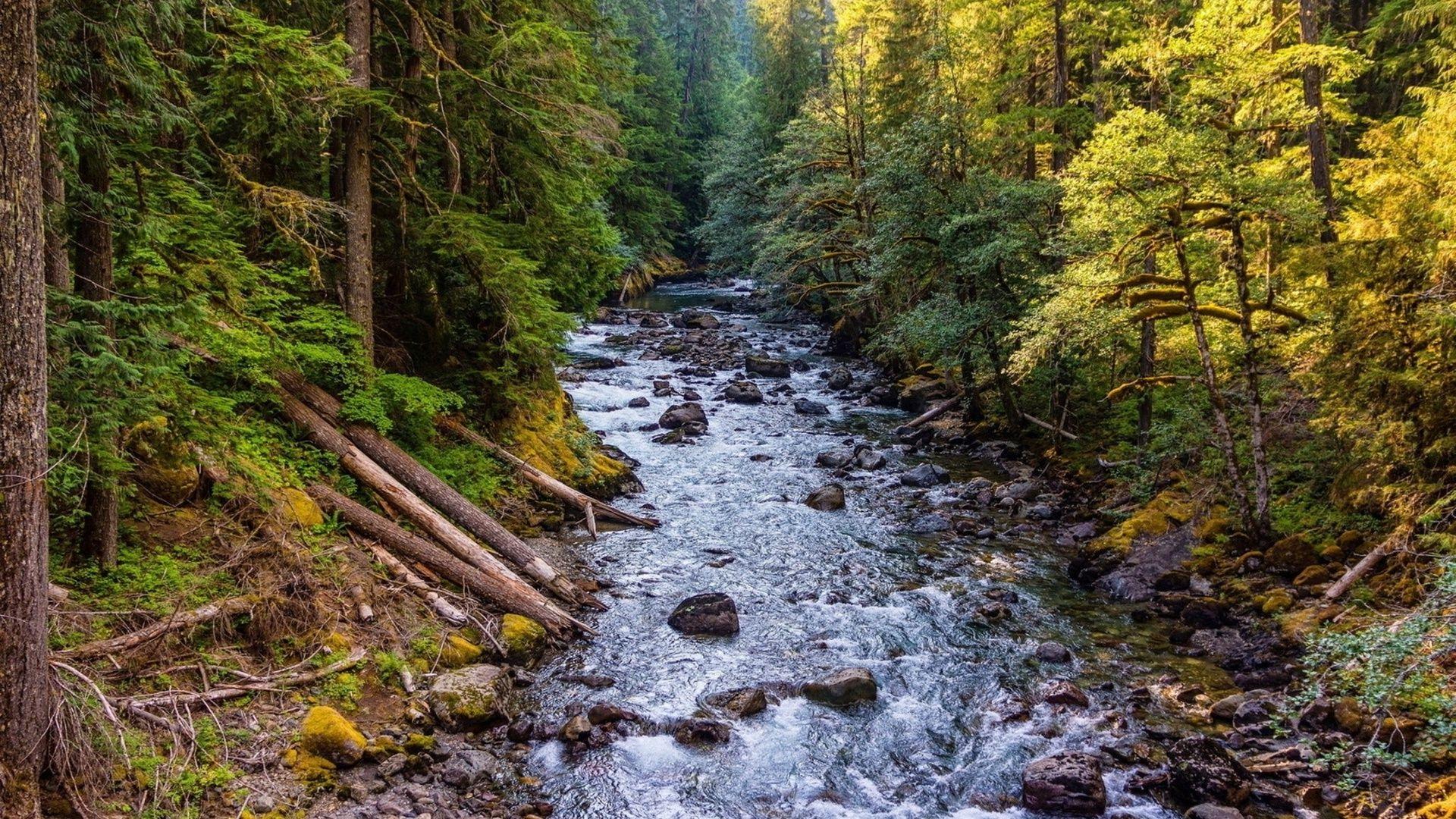 Wilderness PC Wallpapers - Top Free Wilderness PC Backgrounds ...