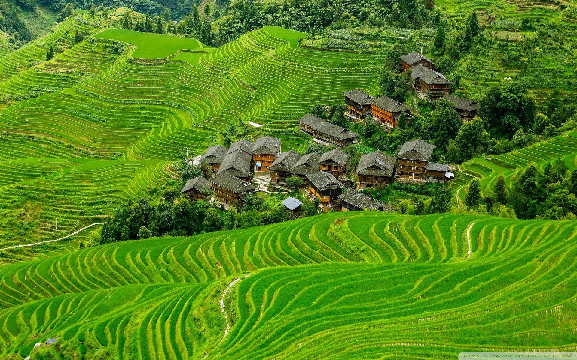 China Scenery Wallpapers - Top Free China Scenery Backgrounds ...