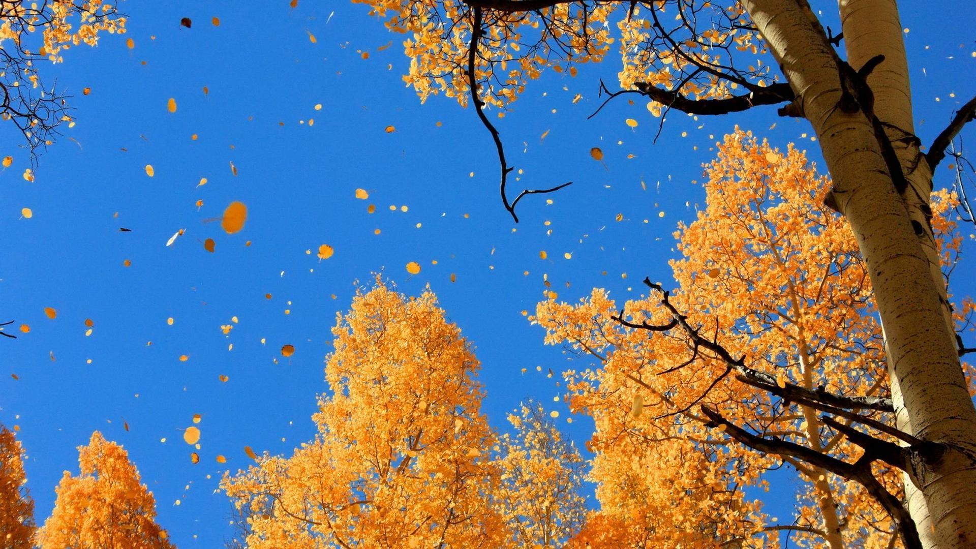 Autumn Sky Wallpapers - Top Free Autumn Sky Backgrounds - WallpaperAccess