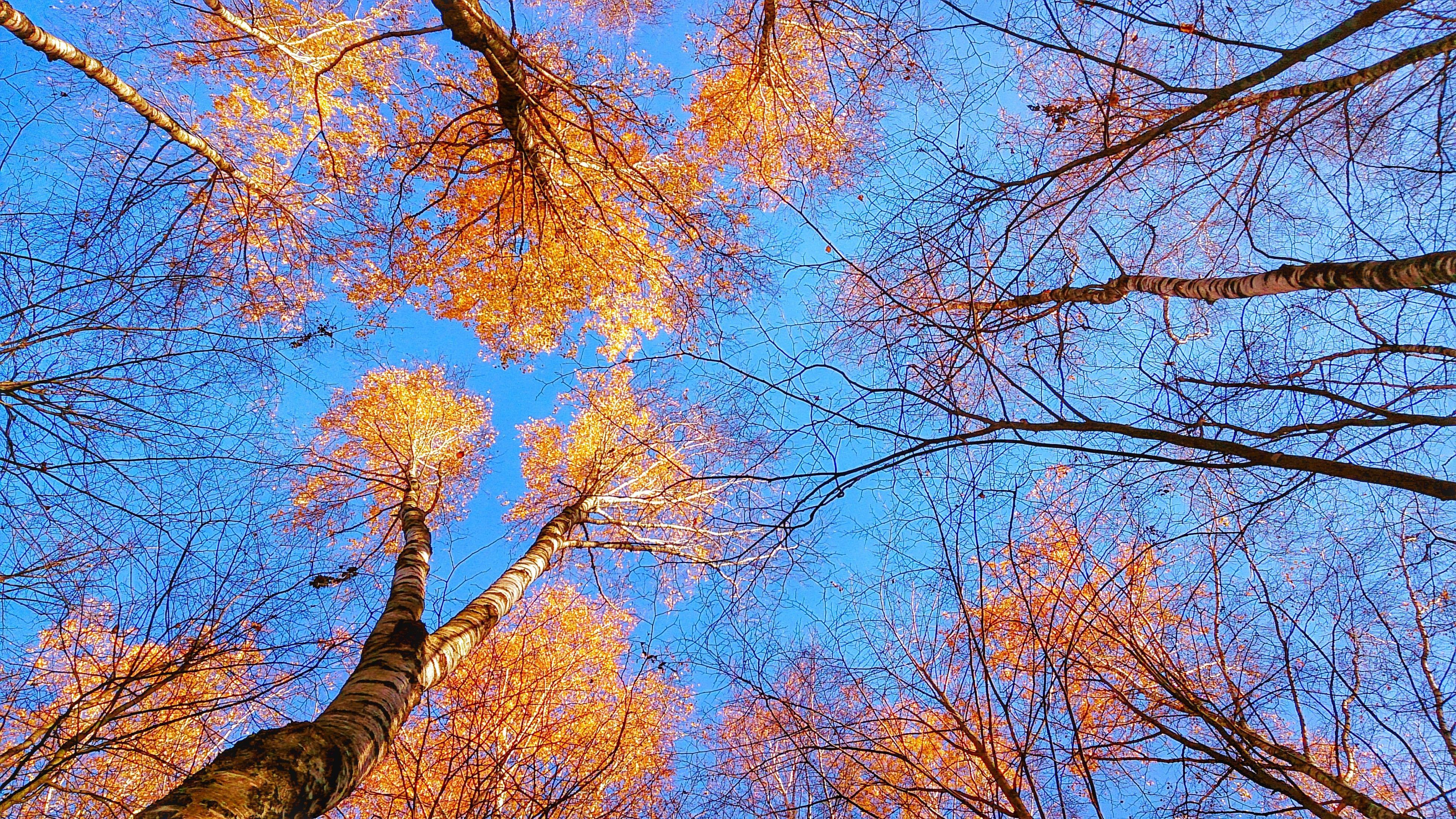 Autumn Sky Wallpapers - Top Free Autumn Sky Backgrounds - WallpaperAccess