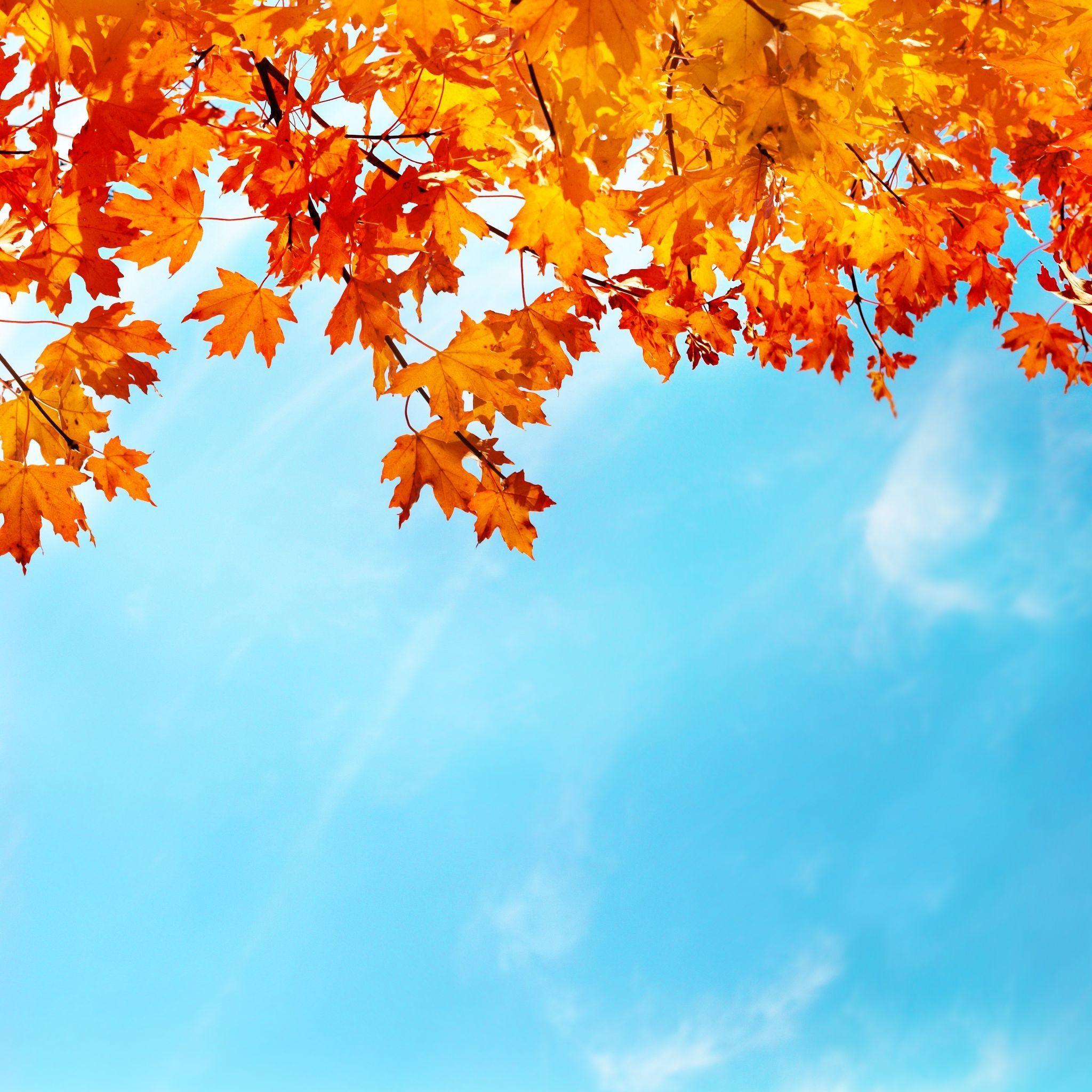 Autumn Sky Wallpapers - Top Free Autumn Sky Backgrounds - WallpaperAccess