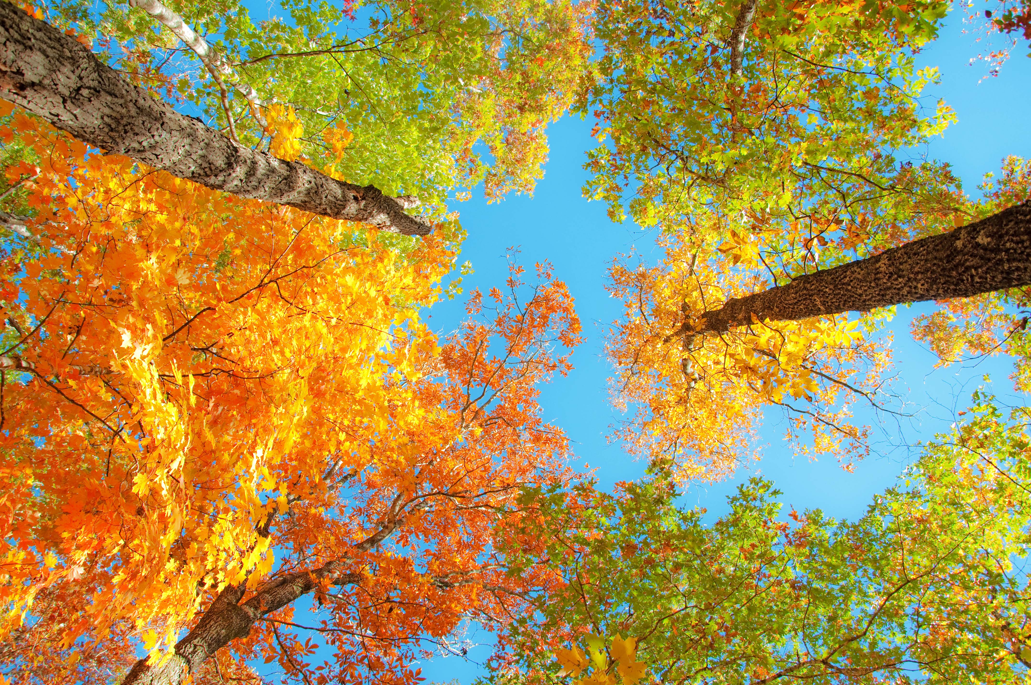 Autumn Sky Wallpapers - Top Free Autumn Sky Backgrounds - WallpaperAccess