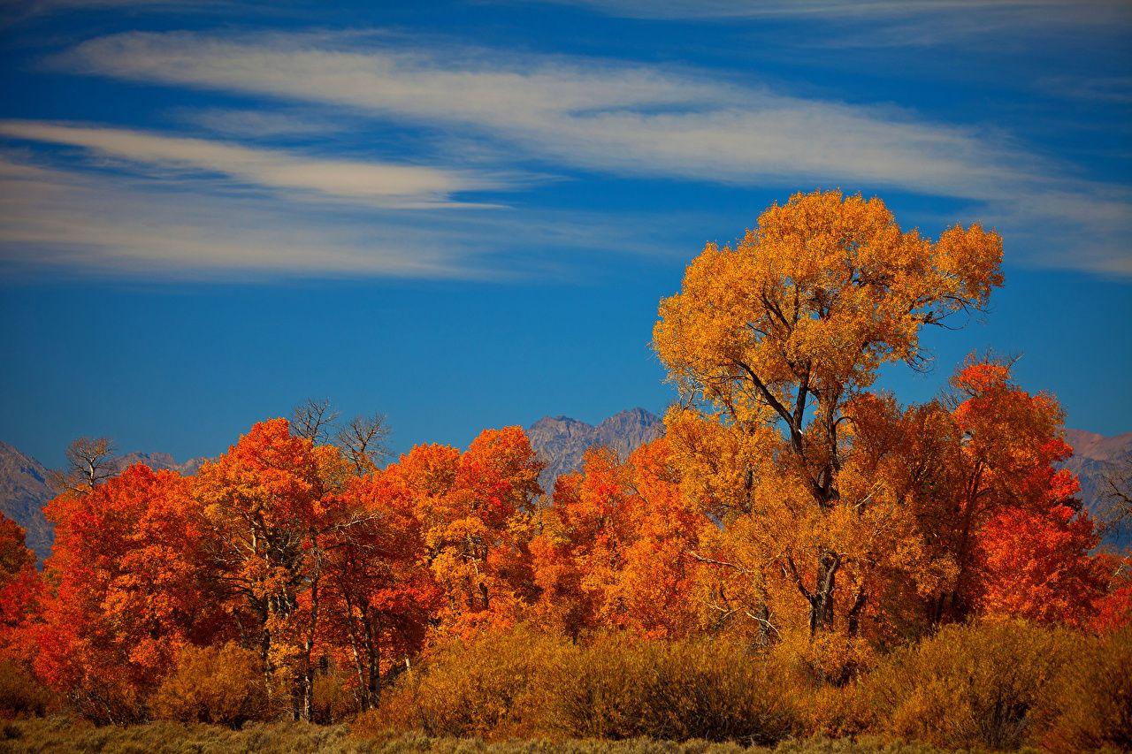 Autumn Sky Wallpapers - Top Free Autumn Sky Backgrounds - WallpaperAccess
