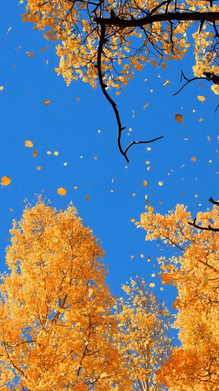 Autumn Sky Wallpapers - Top Free Autumn Sky Backgrounds - WallpaperAccess