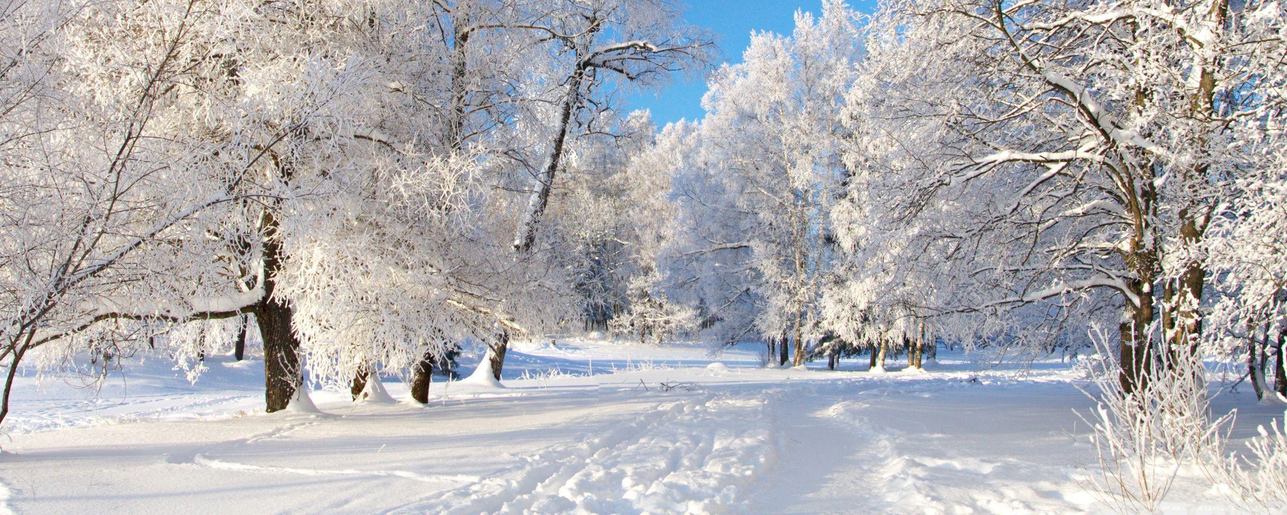 Snow Dual Screen Wallpapers - Top Free Snow Dual Screen Backgrounds ...