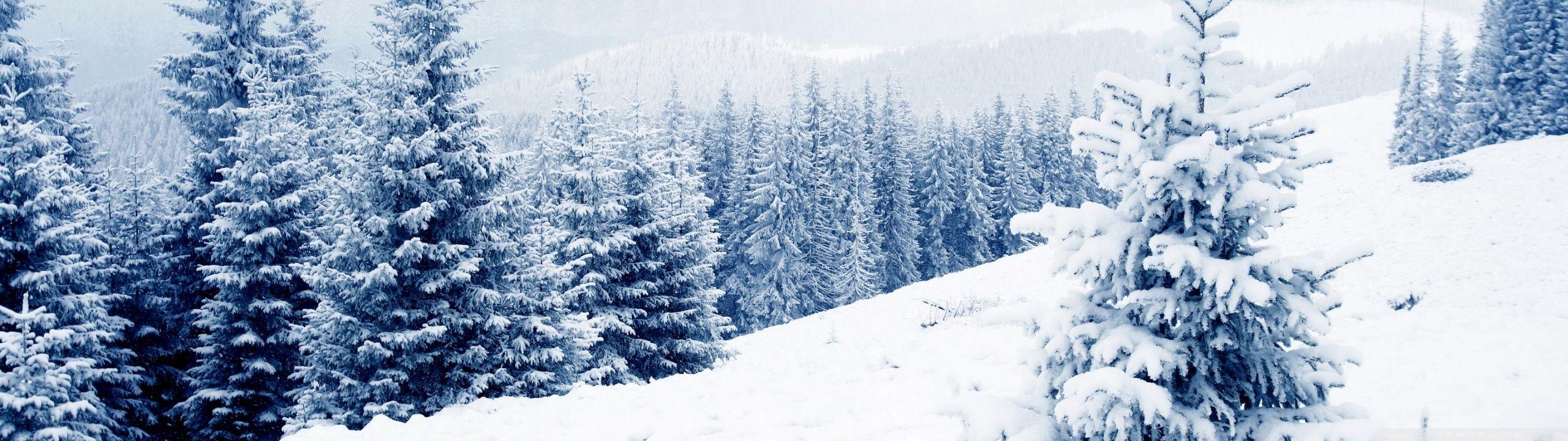 Snow Dual Screen Wallpapers - Top Free Snow Dual Screen Backgrounds ...