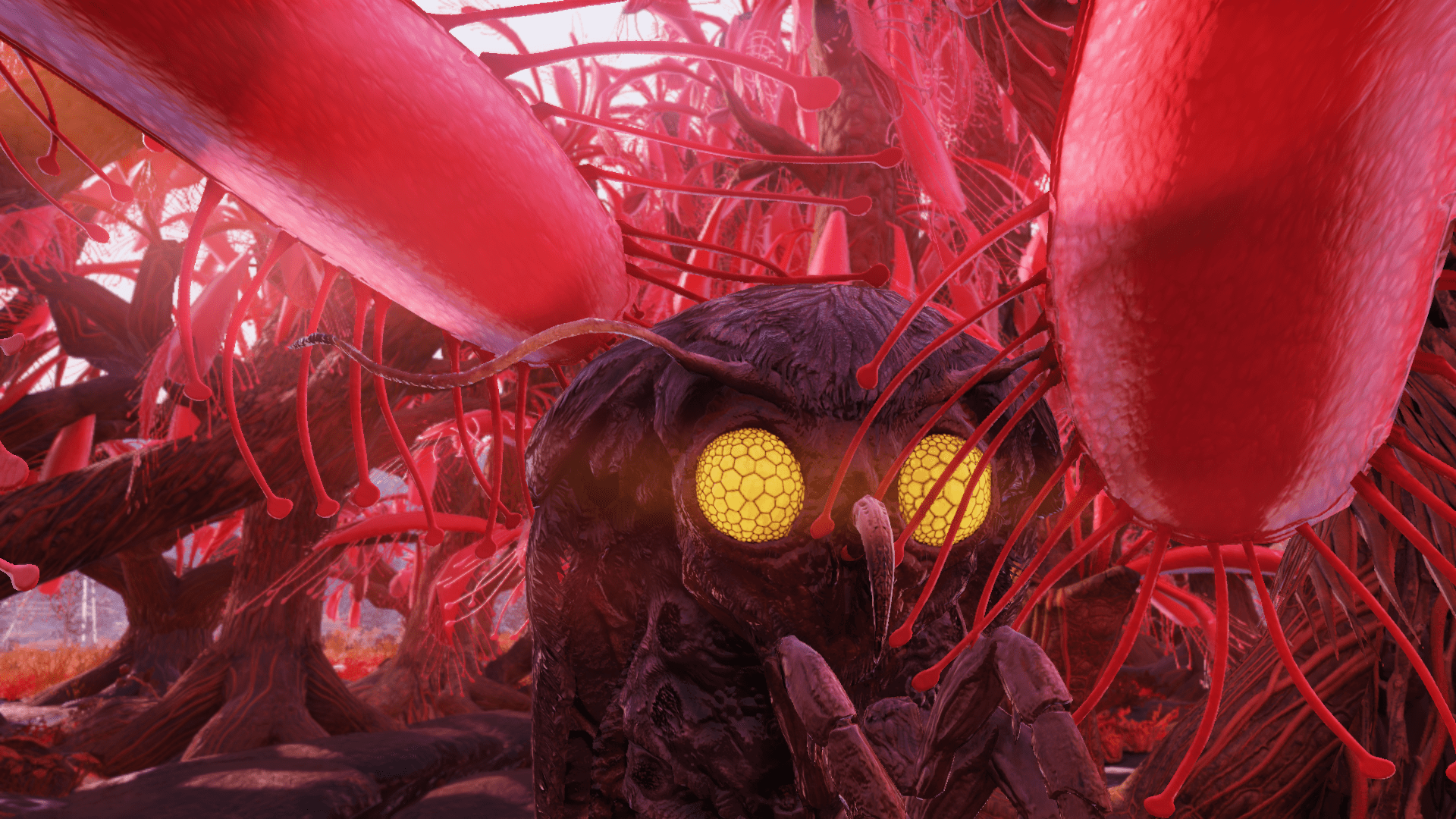 Mothman Wallpapers - Top Free Mothman Backgrounds - WallpaperAccess