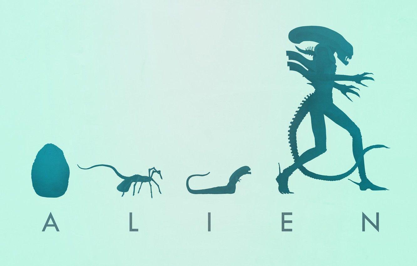 Alien Egg Wallpapers - Top Free Alien Egg Backgrounds - WallpaperAccess