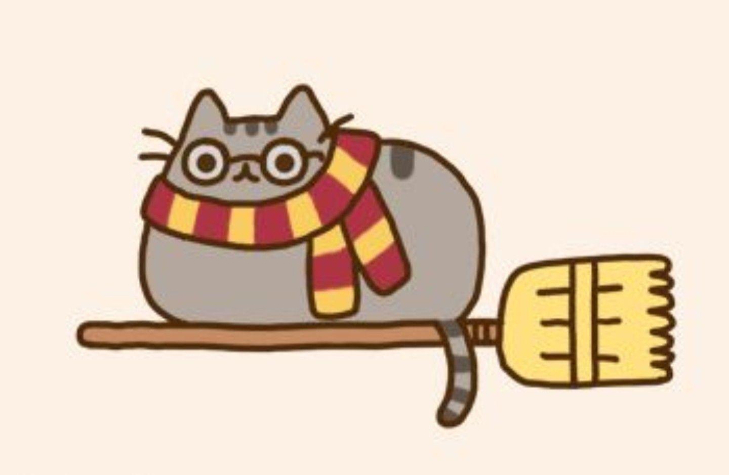 Harry Potter Cat Wallpapers - Top Free Harry Potter Cat Backgrounds ...