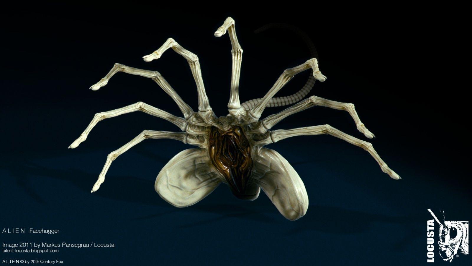 Facehugger Wallpapers - Top Free Facehugger Backgrounds - WallpaperAccess
