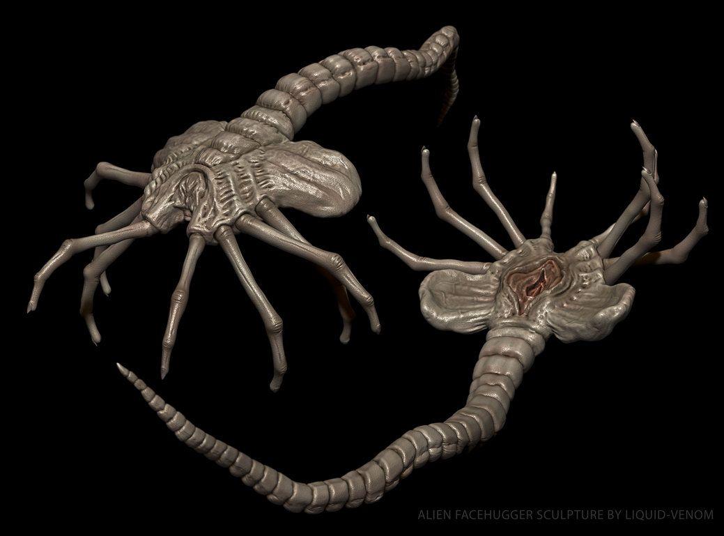 Facehugger Wallpapers - Top Free Facehugger Backgrounds - WallpaperAccess