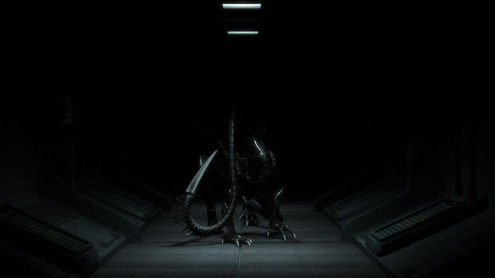 Facehugger Wallpapers - Top Free Facehugger Backgrounds - WallpaperAccess