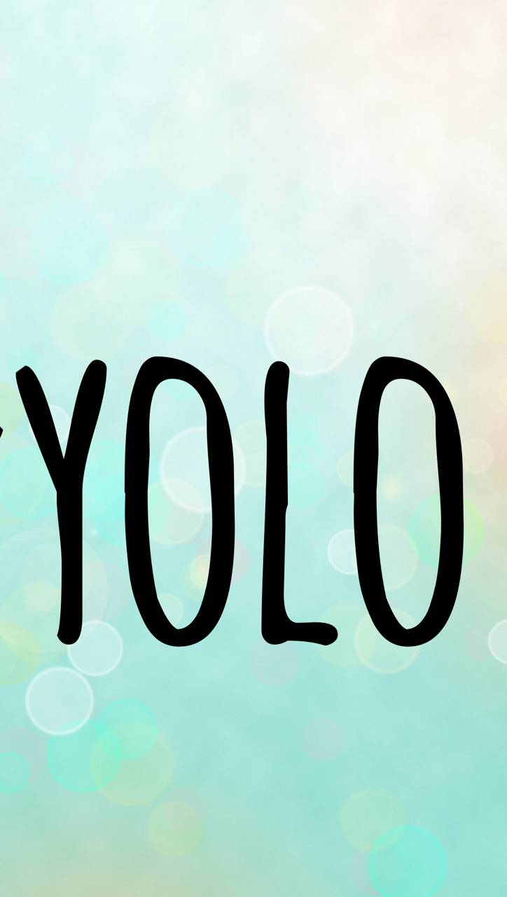 Yolo Wallpapers - Top Free Yolo Backgrounds - WallpaperAccess