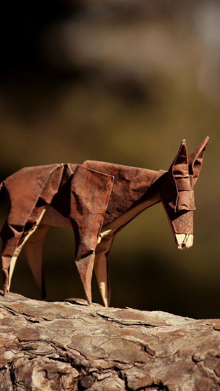 Donkey iPhone Wallpapers - Top Free Donkey iPhone Backgrounds ...