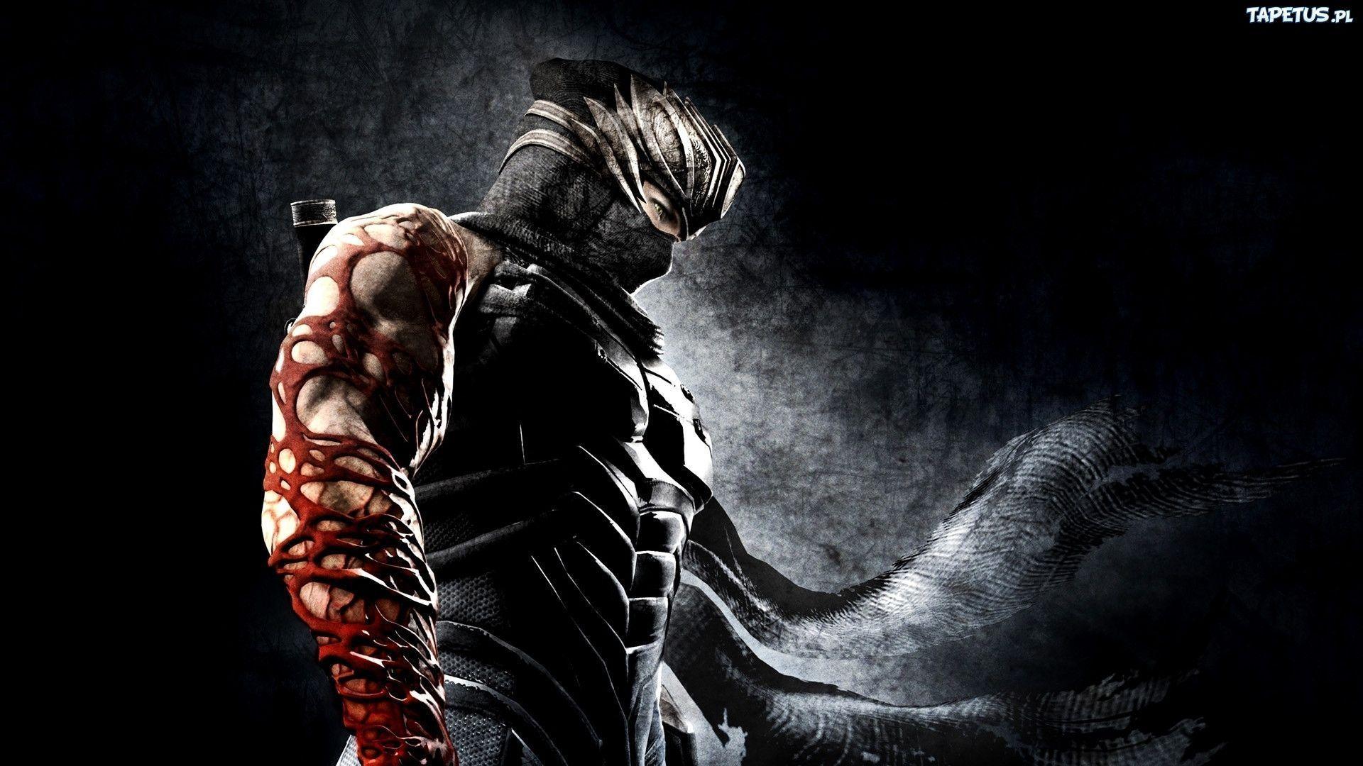 Ryu Hayabusa Wallpaper Hd