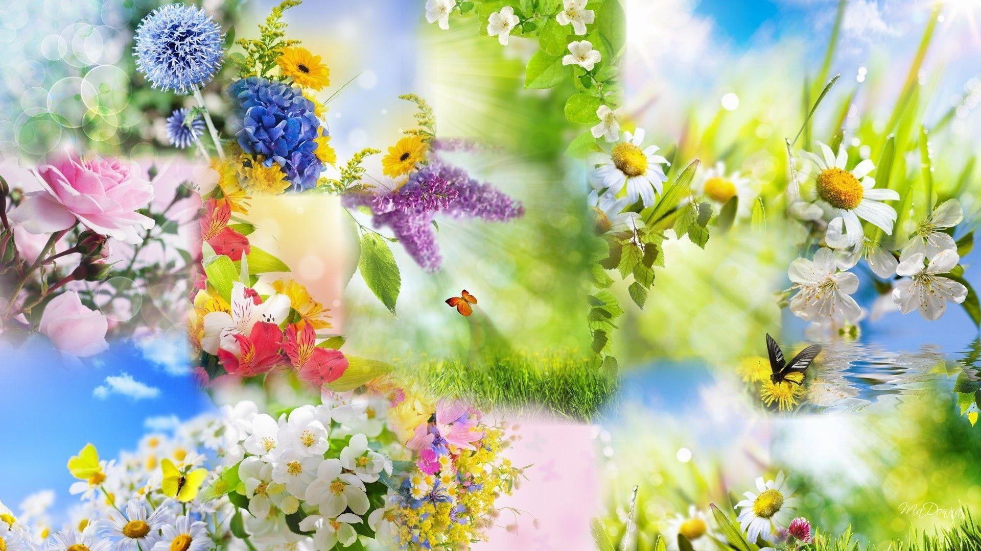 Spring Collage Wallpapers - Top Free Spring Collage Backgrounds ...