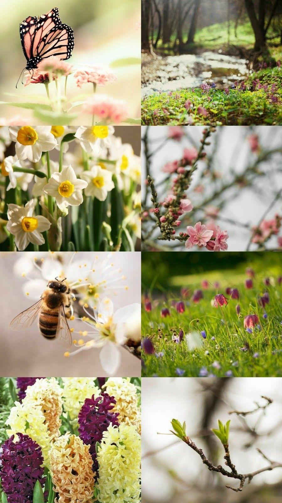 20 Outstanding spring wallpaper collage You Can Use It At No Cost ...