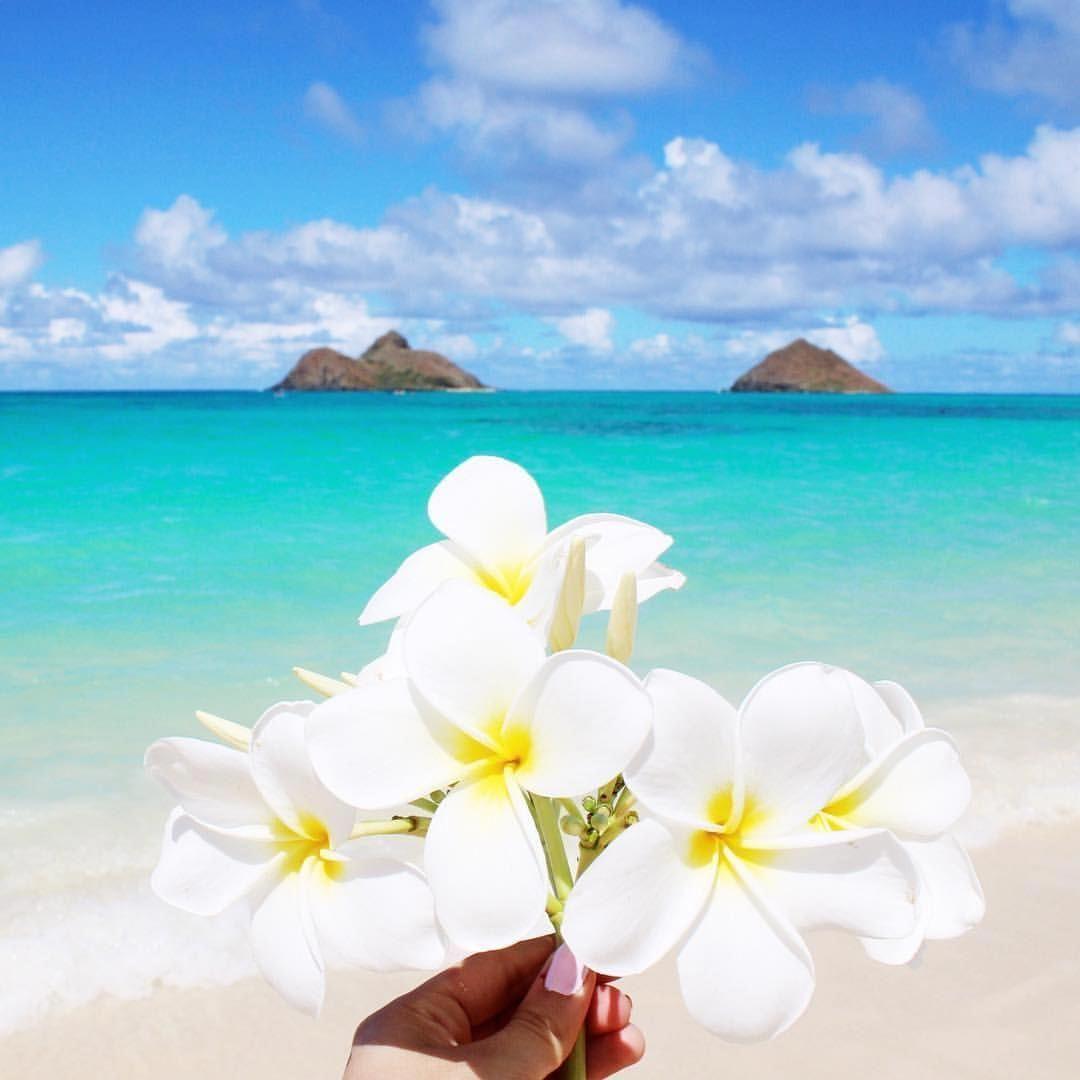 Lanikai Beach Wallpapers - Top Free Lanikai Beach Backgrounds ...