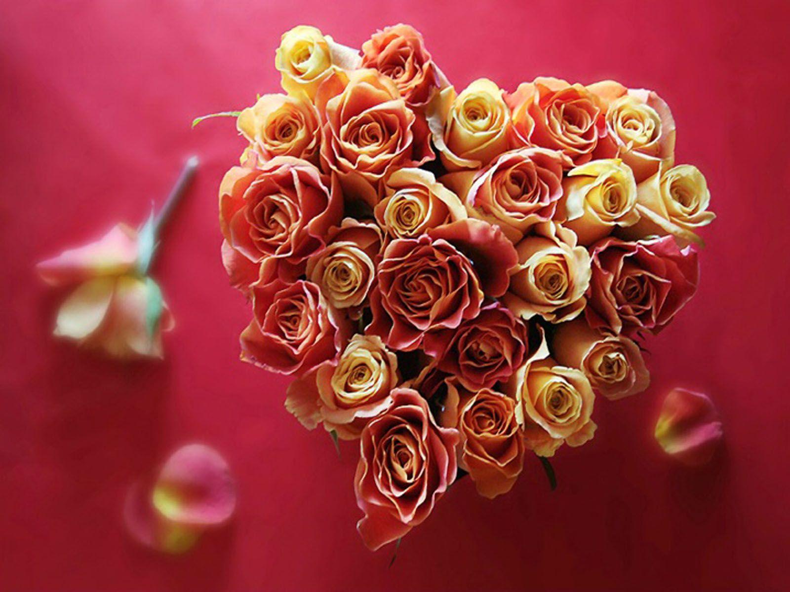 Valentine's Day Roses Wallpapers - Top Free Valentine's Day Roses ...