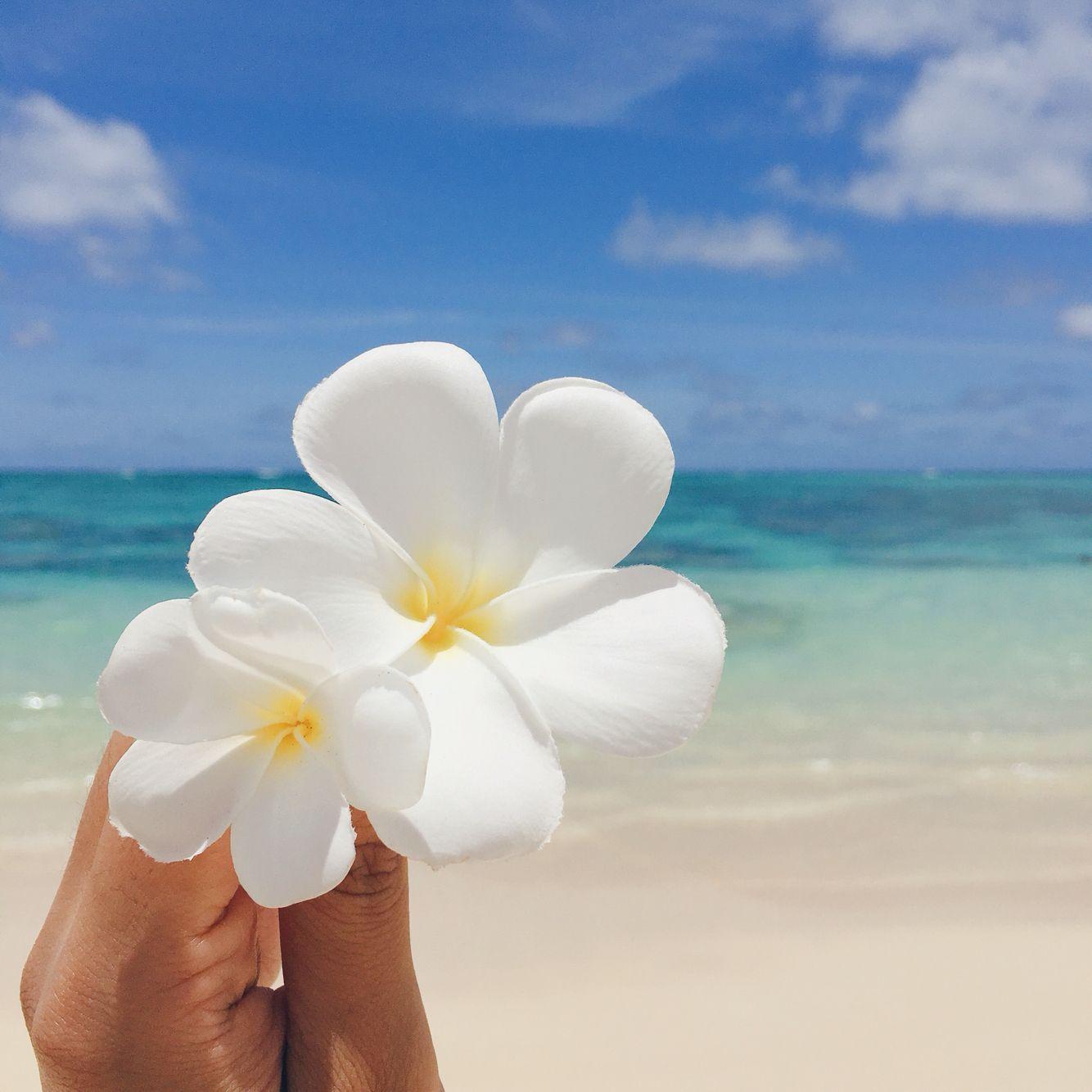 Beach Floral Wallpapers - Top Free Beach Floral Backgrounds ...