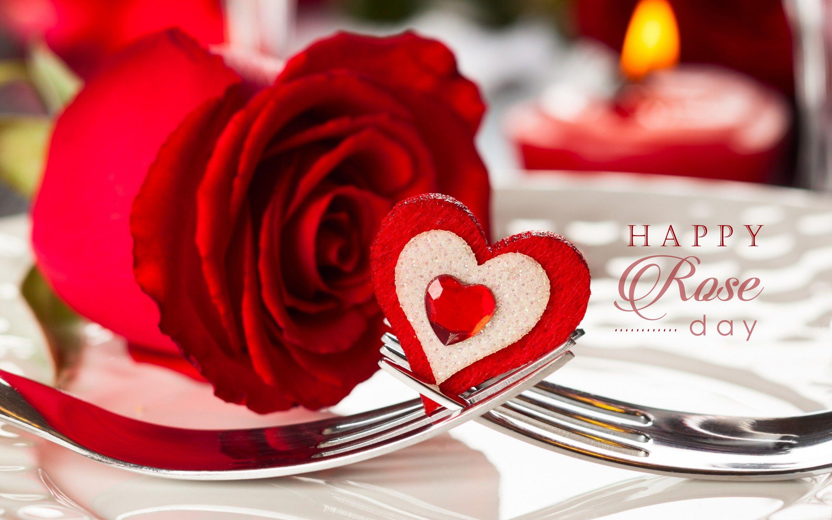 Valentine's Day Roses Wallpapers - Top Free Valentine's Day Roses ...