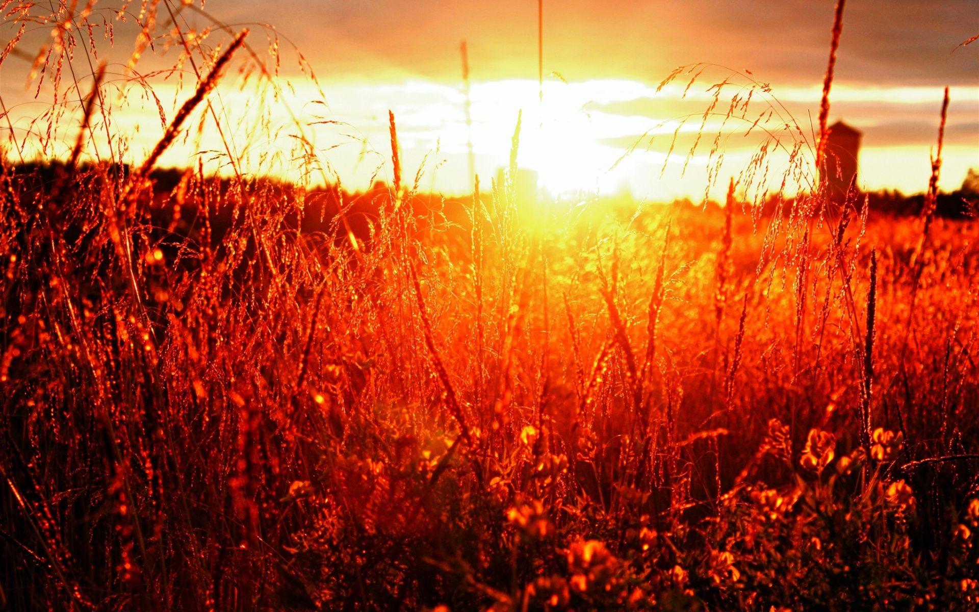 Sunbeam Wallpapers - Top Free Sunbeam Backgrounds - WallpaperAccess