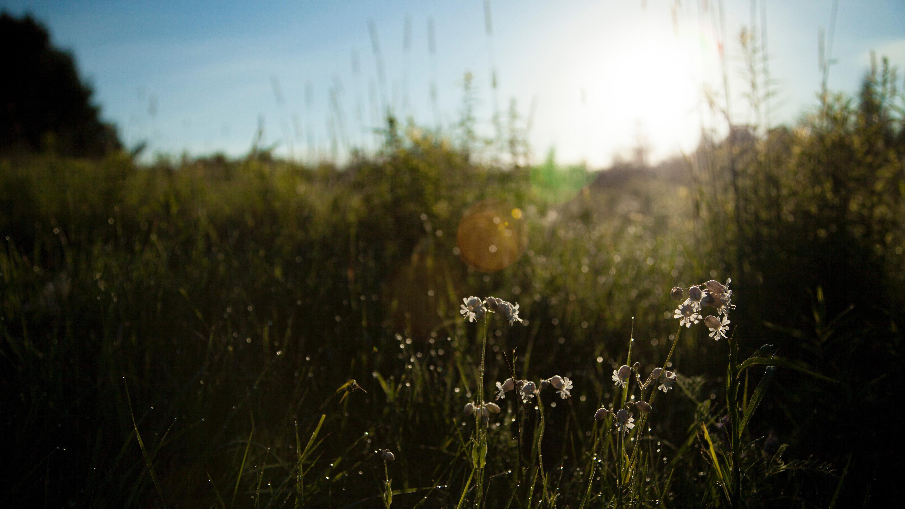 Sunbeam Wallpapers - Top Free Sunbeam Backgrounds - WallpaperAccess