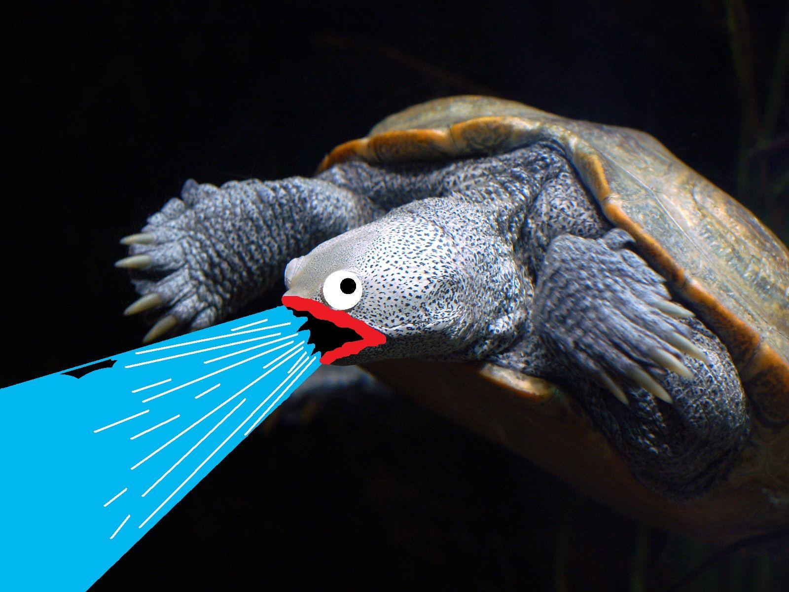 Shoop Da Whoop Wallpapers - Top Free Shoop Da Whoop Backgrounds ...