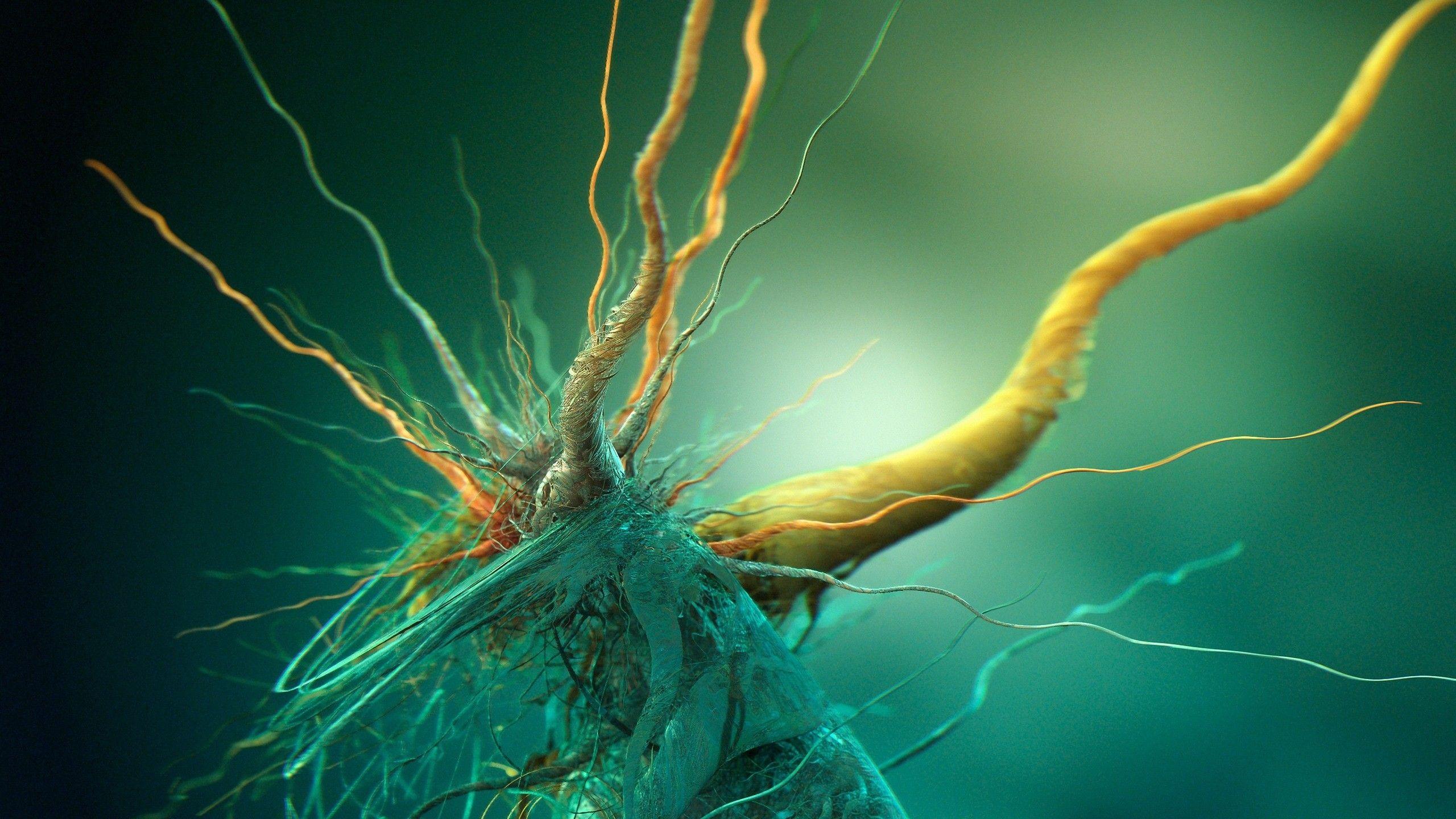 Microscope Computer Wallpapers - Top Free Microscope Computer ...