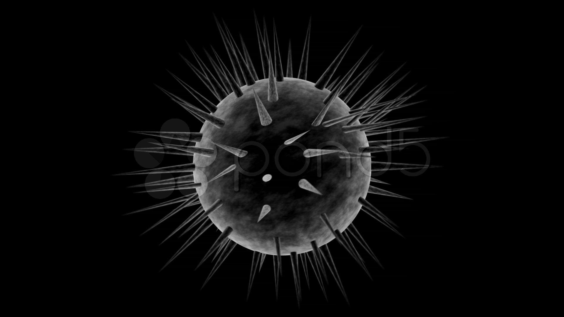 Microscope Computer Wallpapers - Top Free Microscope Computer ...