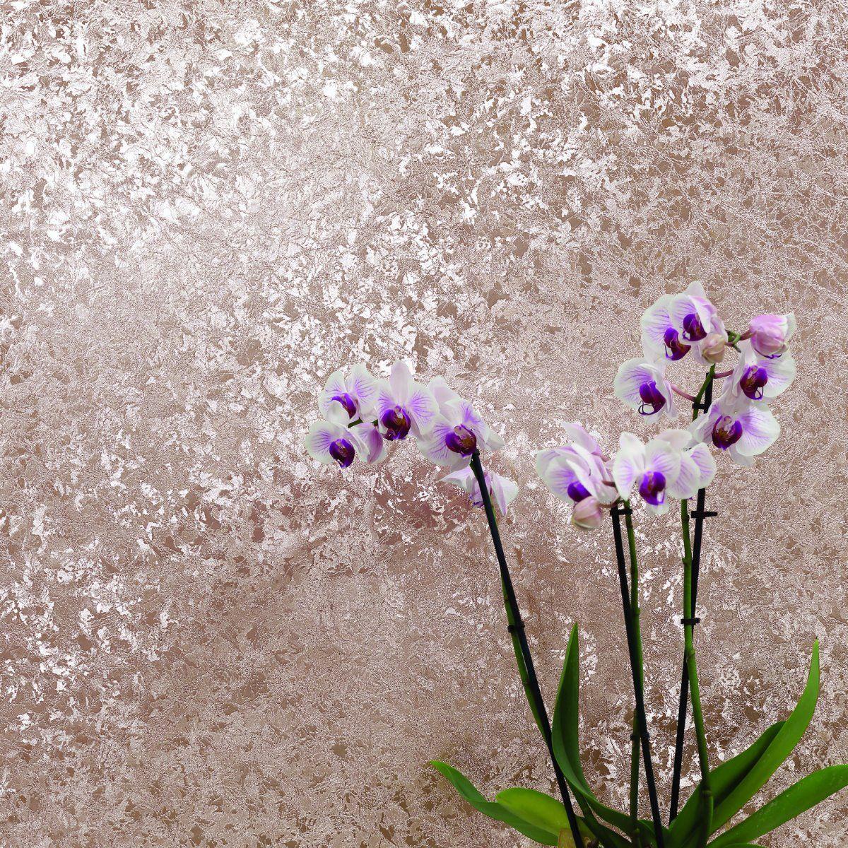 Velvet Flower Wallpapers - Top Free Velvet Flower Backgrounds ...