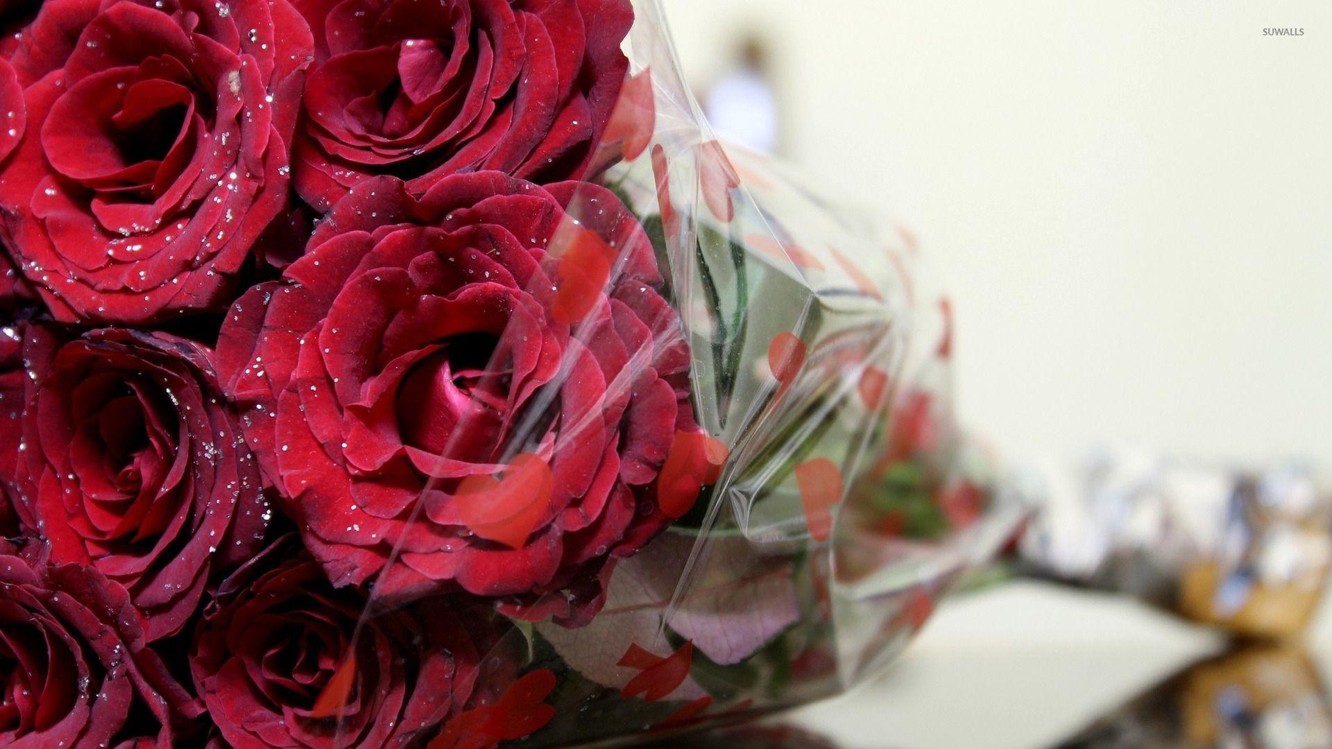 Velvet Flower Wallpapers - Top Free Velvet Flower Backgrounds ...