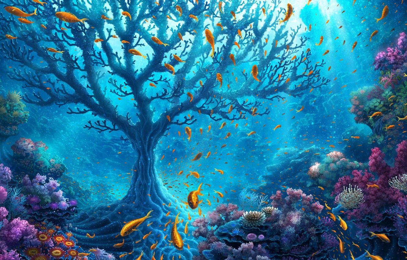 Marine Biology Wallpapers - Top Free Marine Biology Backgrounds ...