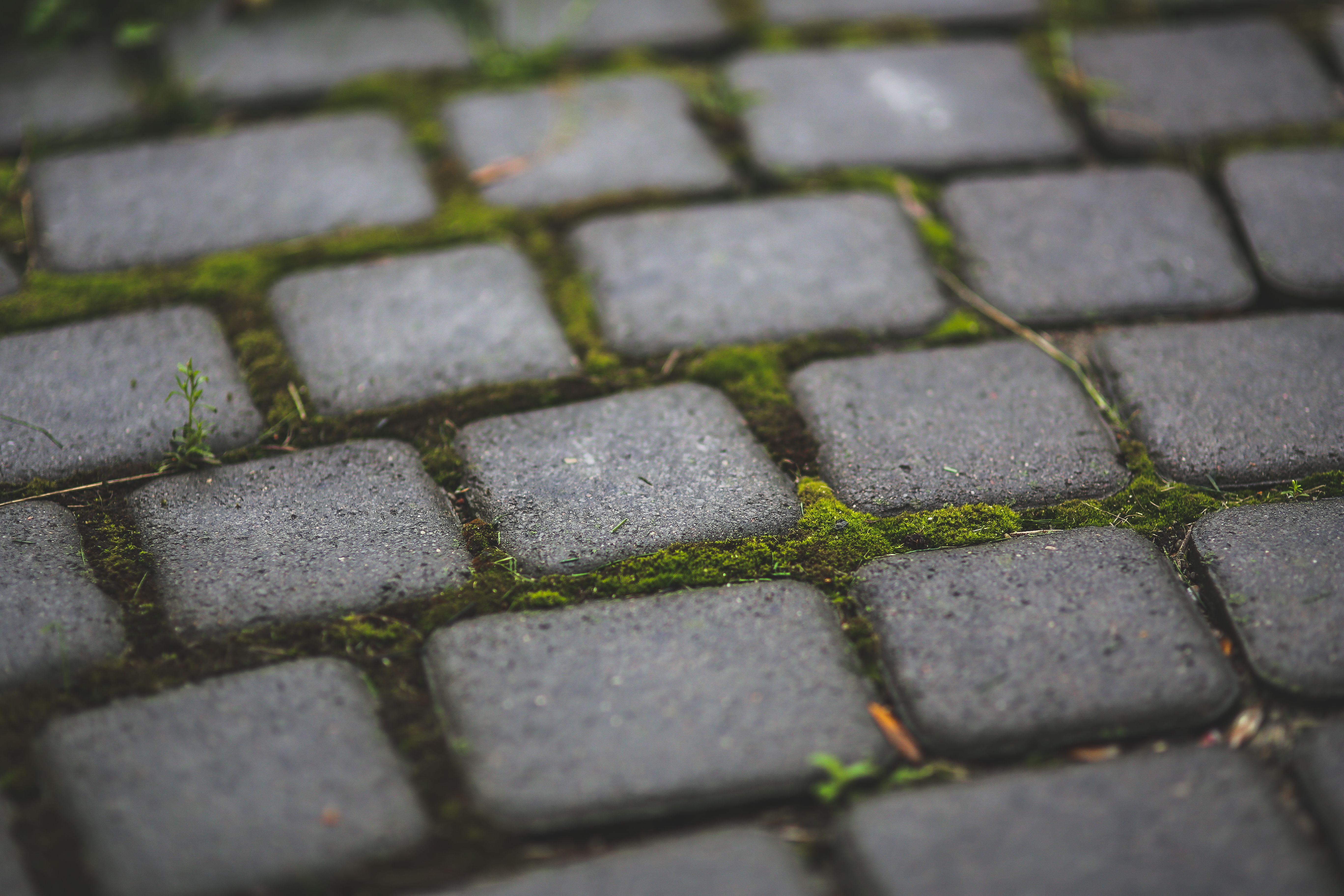 Paving Wallpapers - Top Free Paving Backgrounds - WallpaperAccess