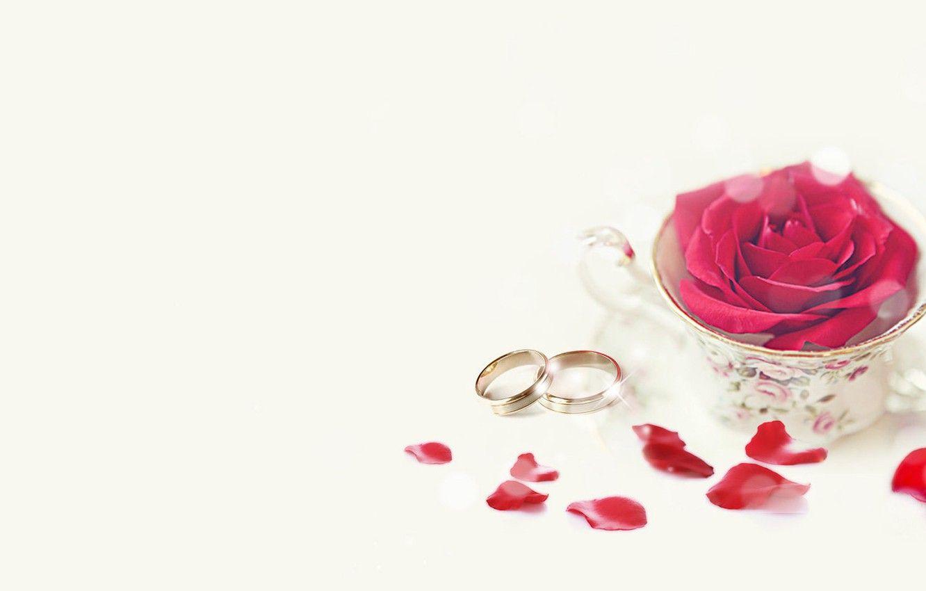 Roses Wedding Wallpapers - Top Free Roses Wedding Backgrounds ...