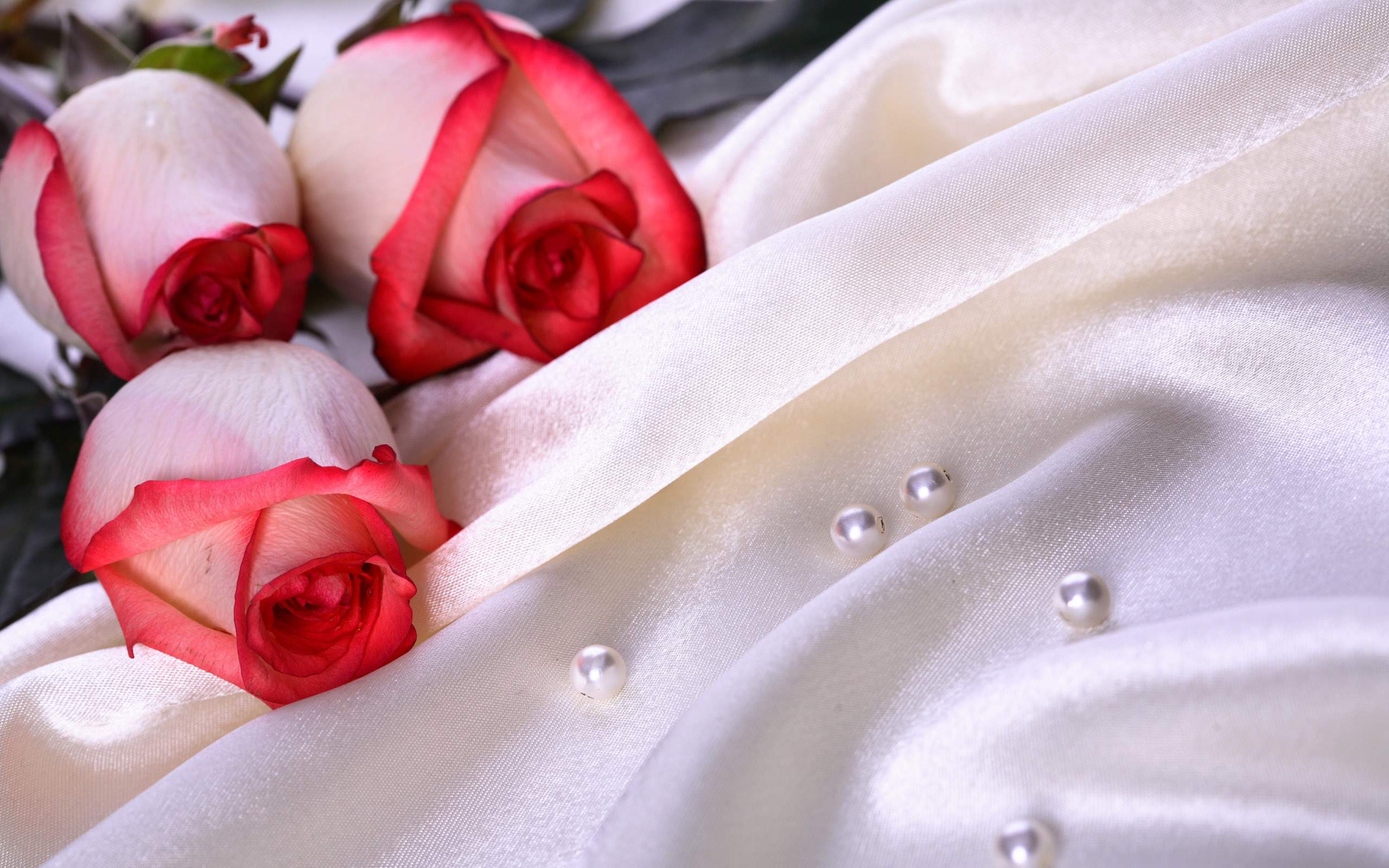 Roses Wedding Wallpapers - Top Free Roses Wedding Backgrounds ...