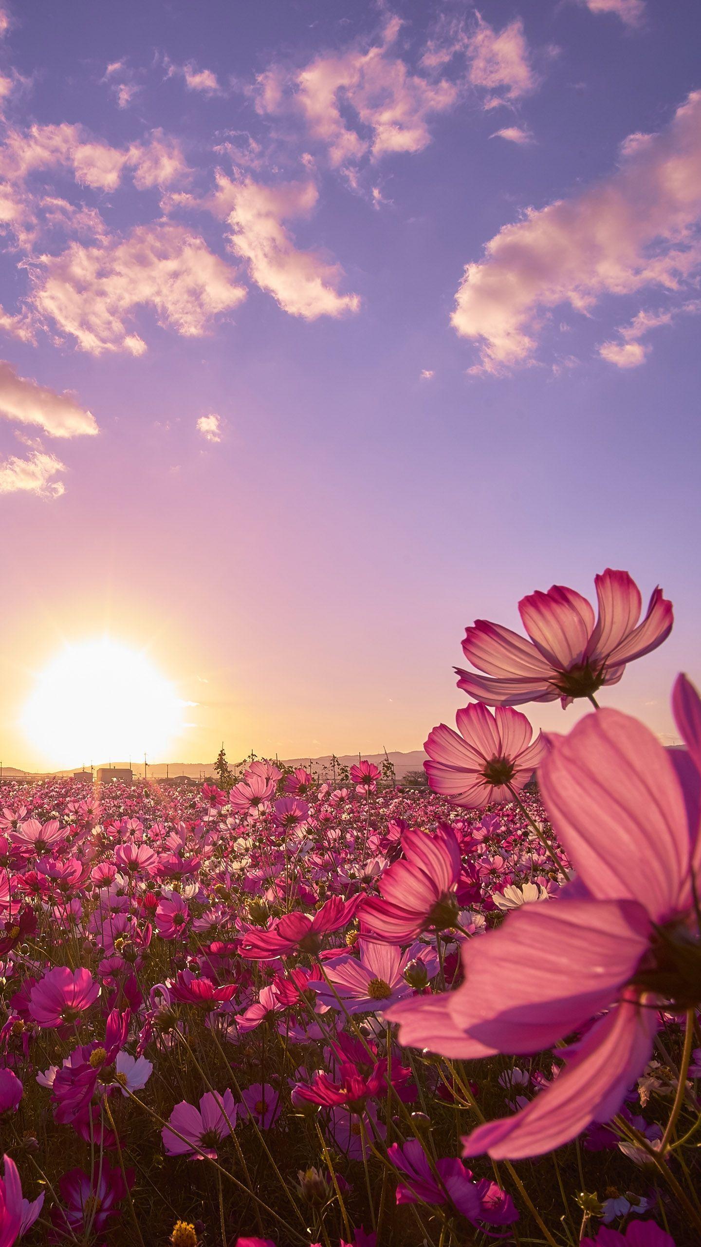 Samsung Note 5 Wallpapers - Top Free Samsung Note 5 Backgrounds ...