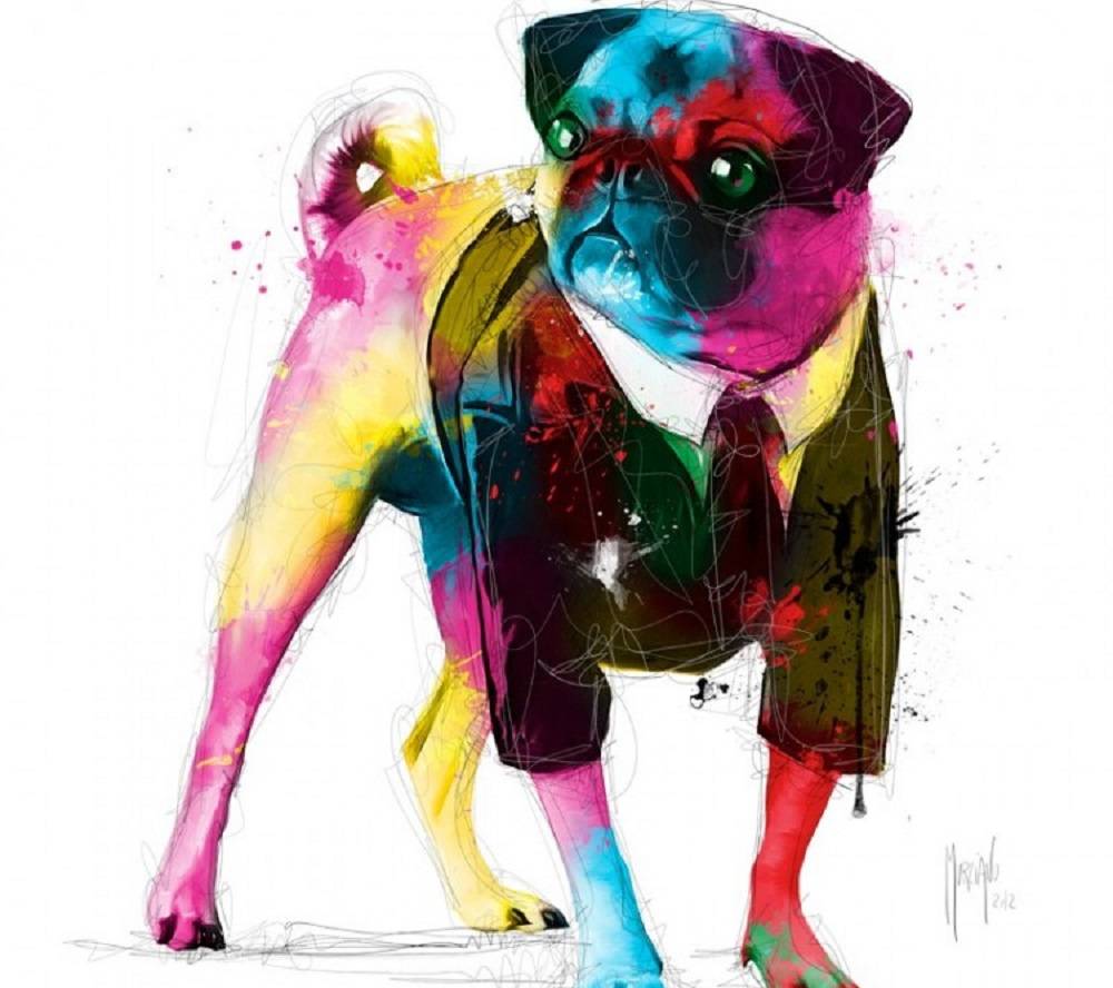 Colourful Dog Wallpapers - Top Free Colourful Dog Backgrounds ...