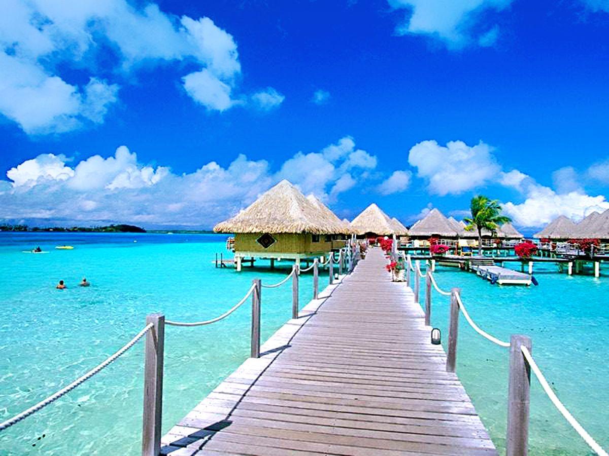 Colourful Nature Wallpapers - Top Free Colourful Nature Backgrounds ...