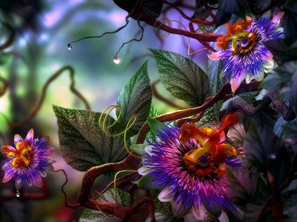 Colourful Nature Wallpapers - Top Free Colourful Nature Backgrounds ...