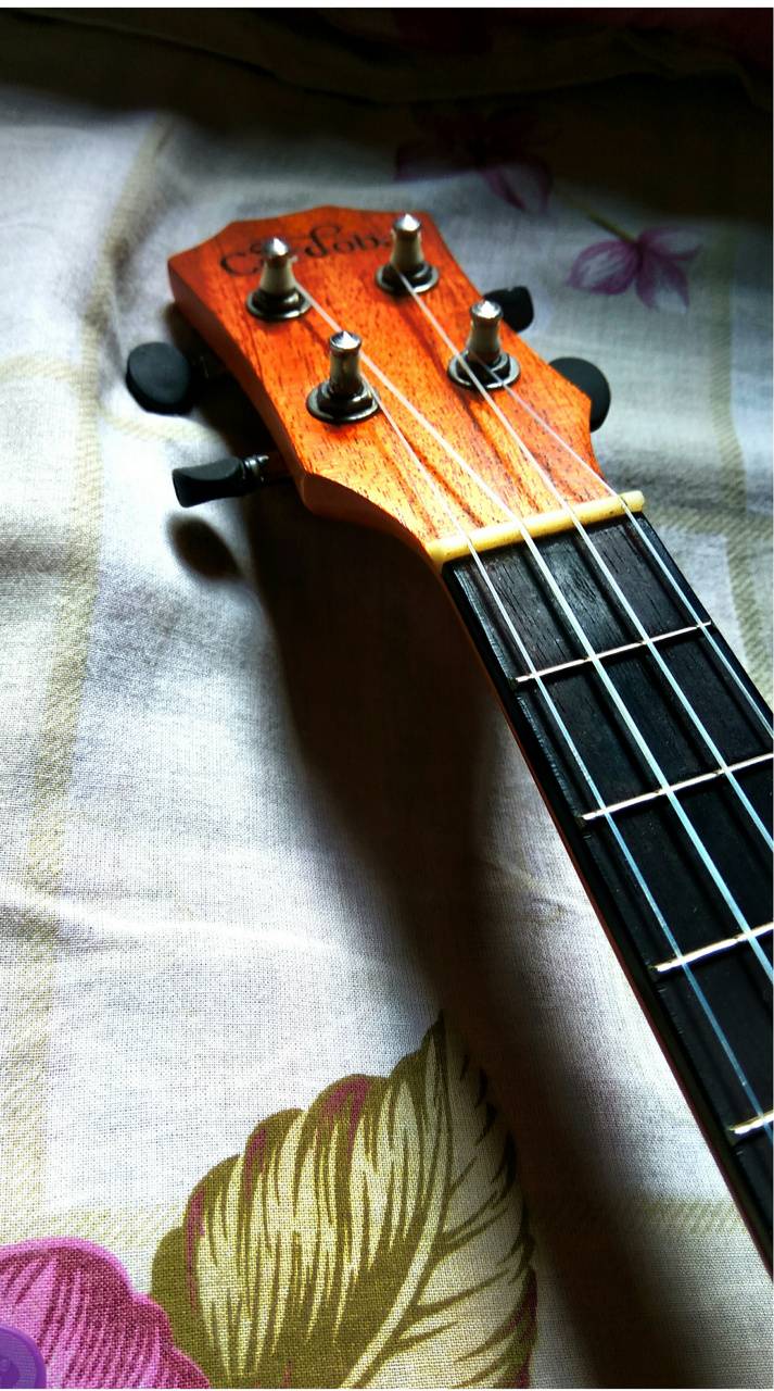 Ukulele Wallpapers - Top Free Ukulele Backgrounds - WallpaperAccess