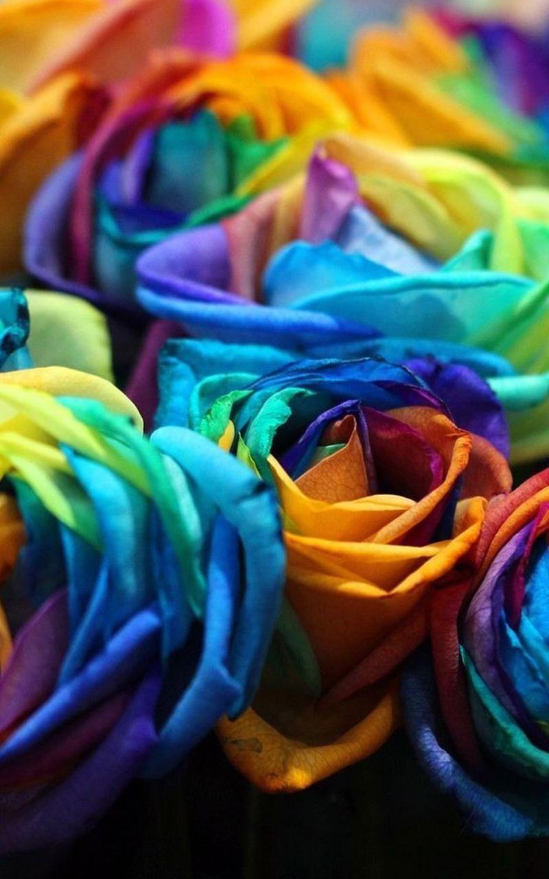 Colourful Mobile Wallpapers - Top Free Colourful Mobile Backgrounds ...