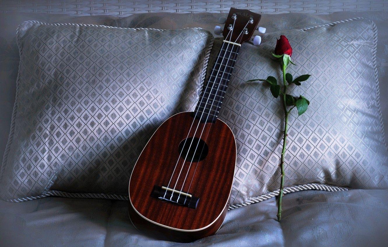Ukulele Wallpapers - Top Free Ukulele Backgrounds - WallpaperAccess