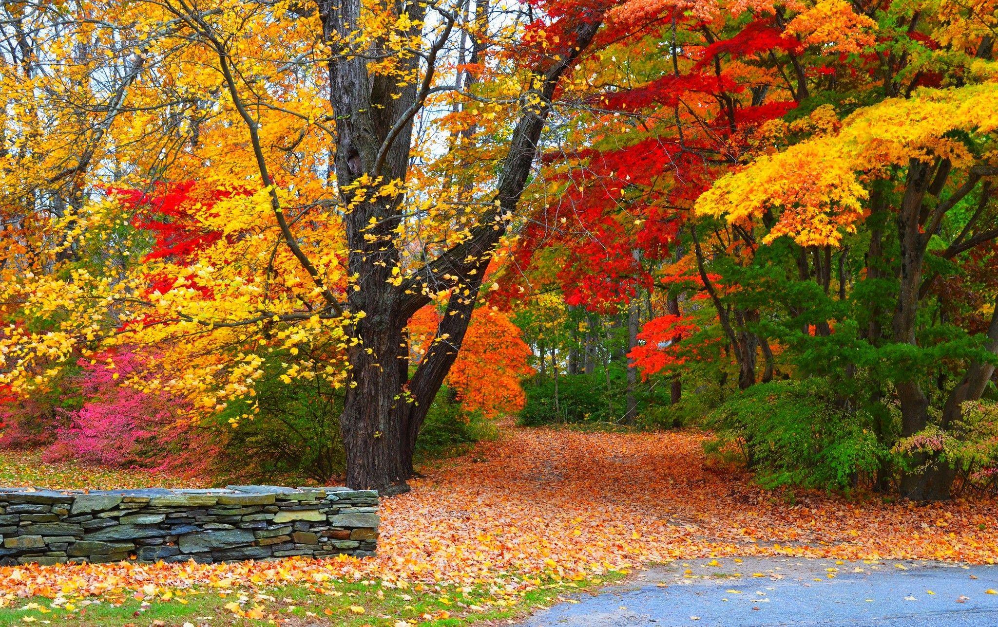 Colourful Nature Wallpapers - Top Free Colourful Nature Backgrounds ...
