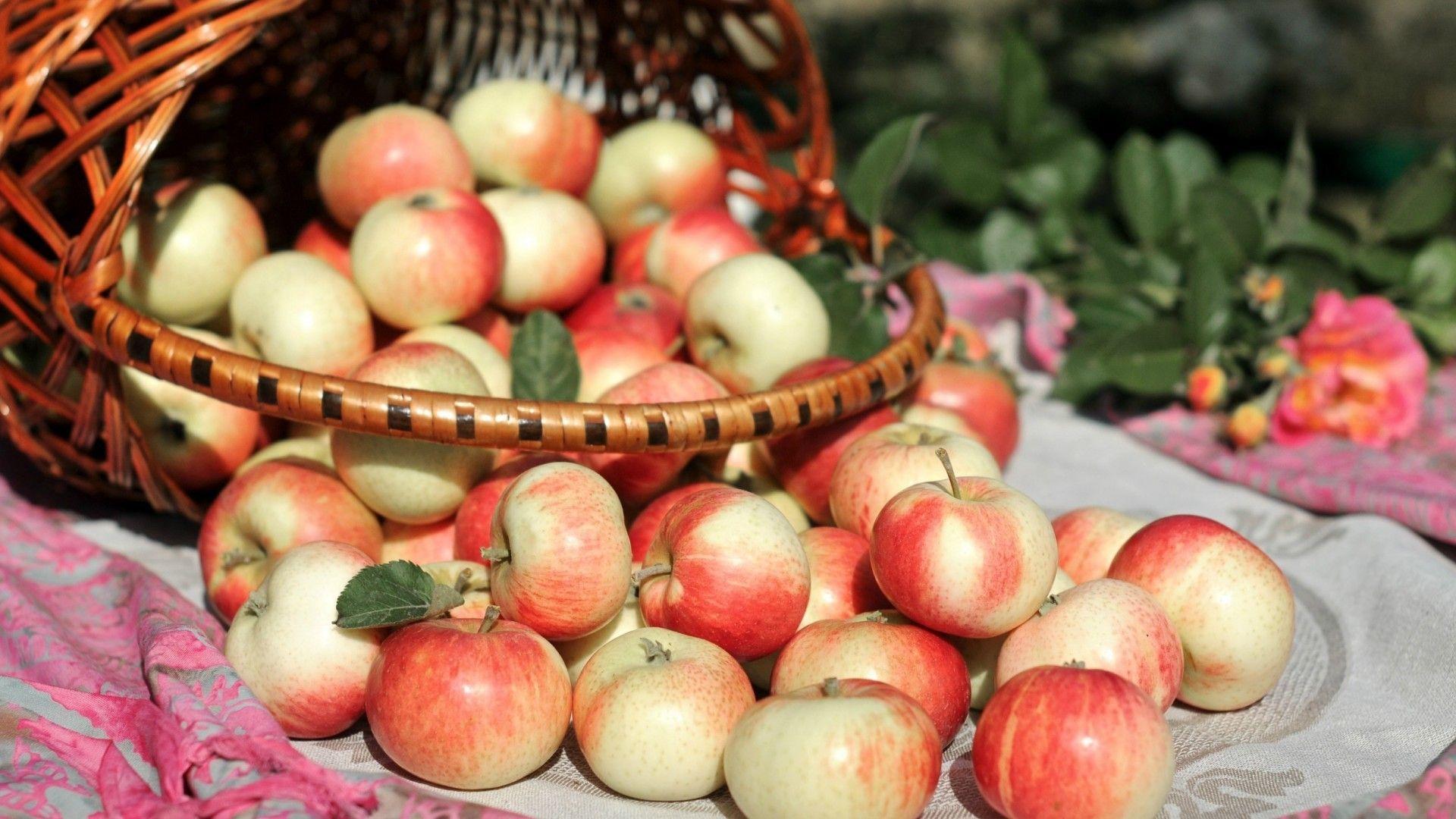 Autumn Apples Wallpapers - Top Free Autumn Apples Backgrounds ...