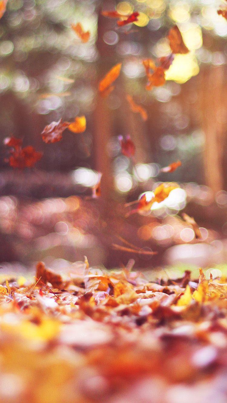 Autumn Apple Wallpapers - Top Free Autumn Apple Backgrounds ...