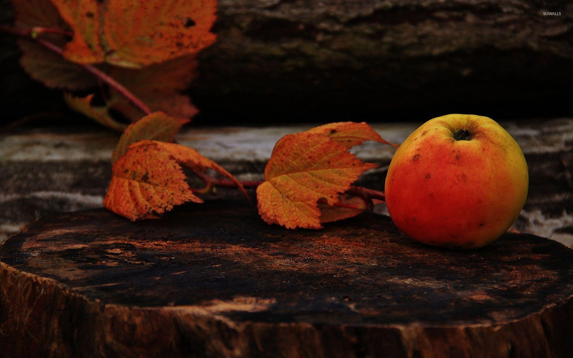 Autumn Apple Wallpapers - Top Free Autumn Apple Backgrounds ...