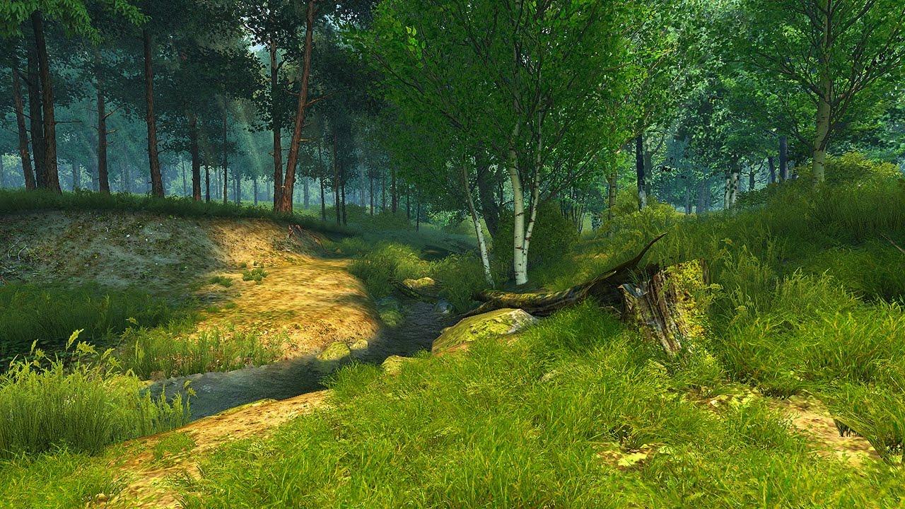 3D Forest Wallpapers - Top Free 3D Forest Backgrounds - WallpaperAccess
