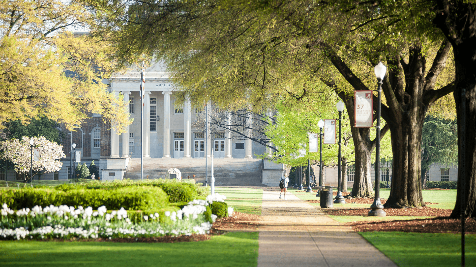 University of Alabama Wallpapers - Top Free University of Alabama ...